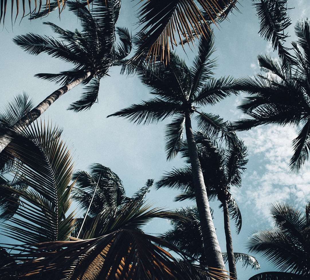 An Elevated Island Home - Alana Bay Harbor Islands